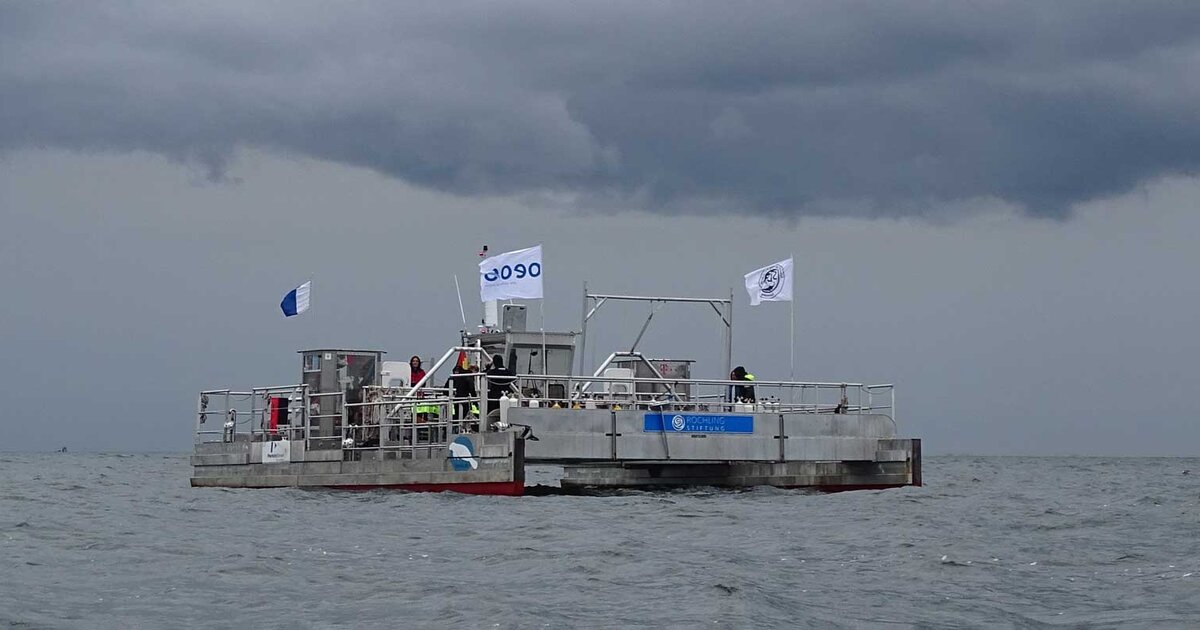 Ein Tag auf hoher See mit oeoo